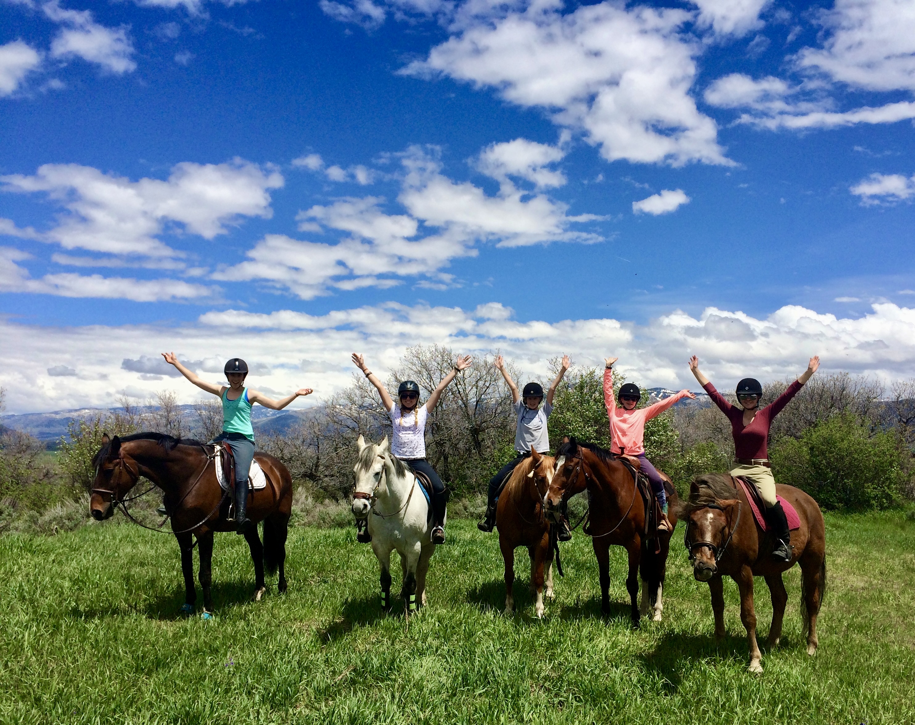 Home - Sidney Peak Ranch Equestrian Center