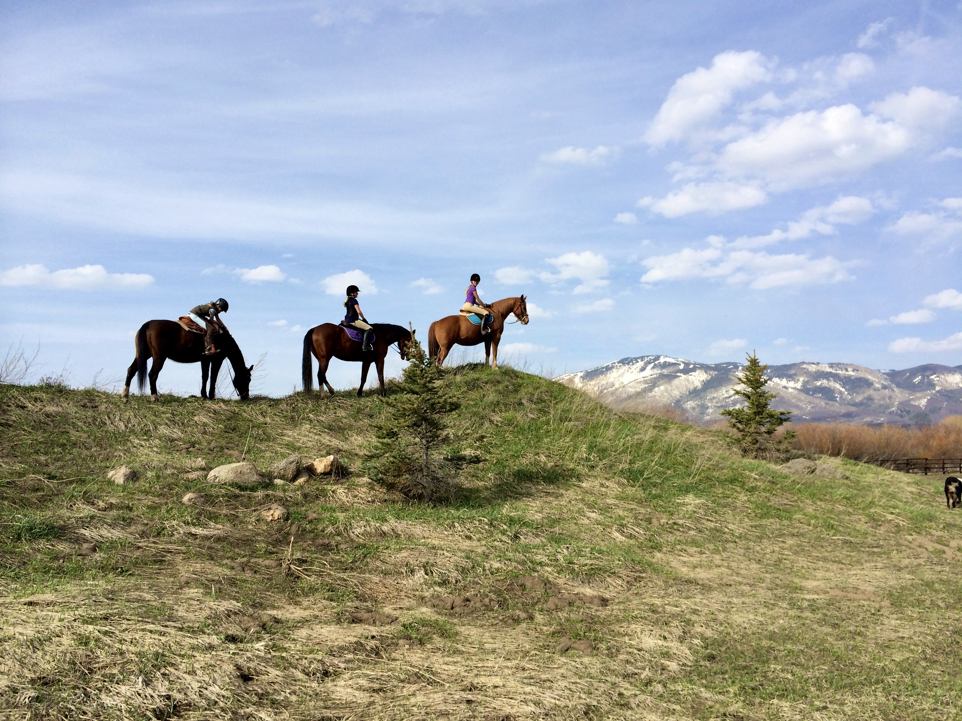 About the Equestrian Center - Sidney Peak Ranch Equestrian Center